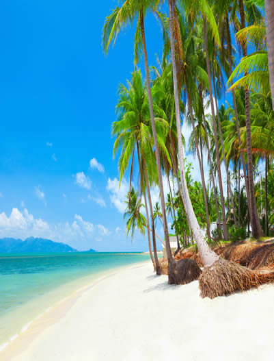 8 Days Phuket Krabi Koh Samui Tour Package | Wonder Earth Tour ...